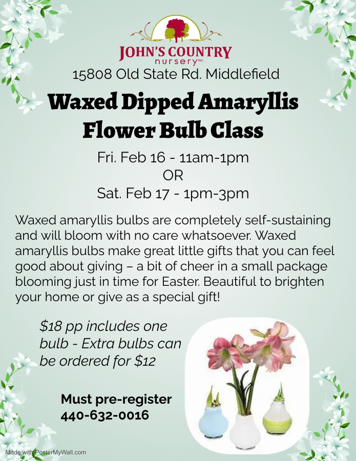 Waxed Dipped Amaryllis Bulb Class (3) - Truly Trumbull