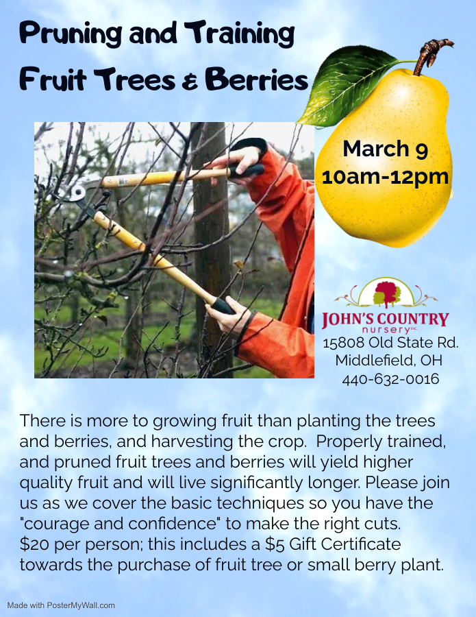 Pruning and Training Fruit Trees & Berries - Truly Trumbull