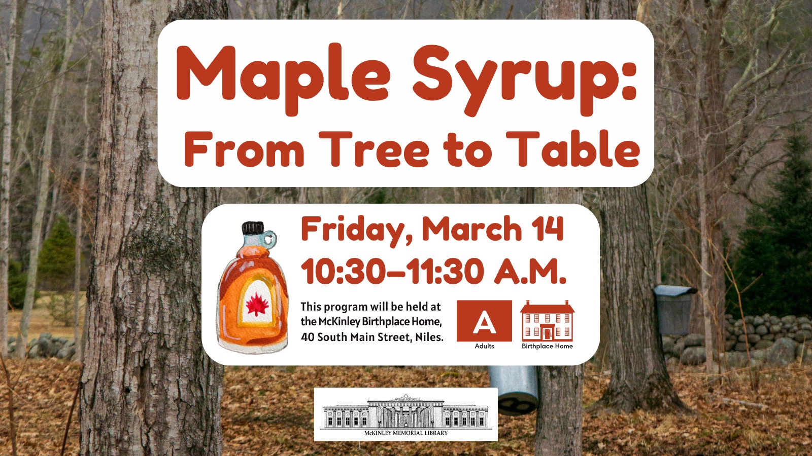 Maple Syrup: From Tree to Table - Truly Trumbull